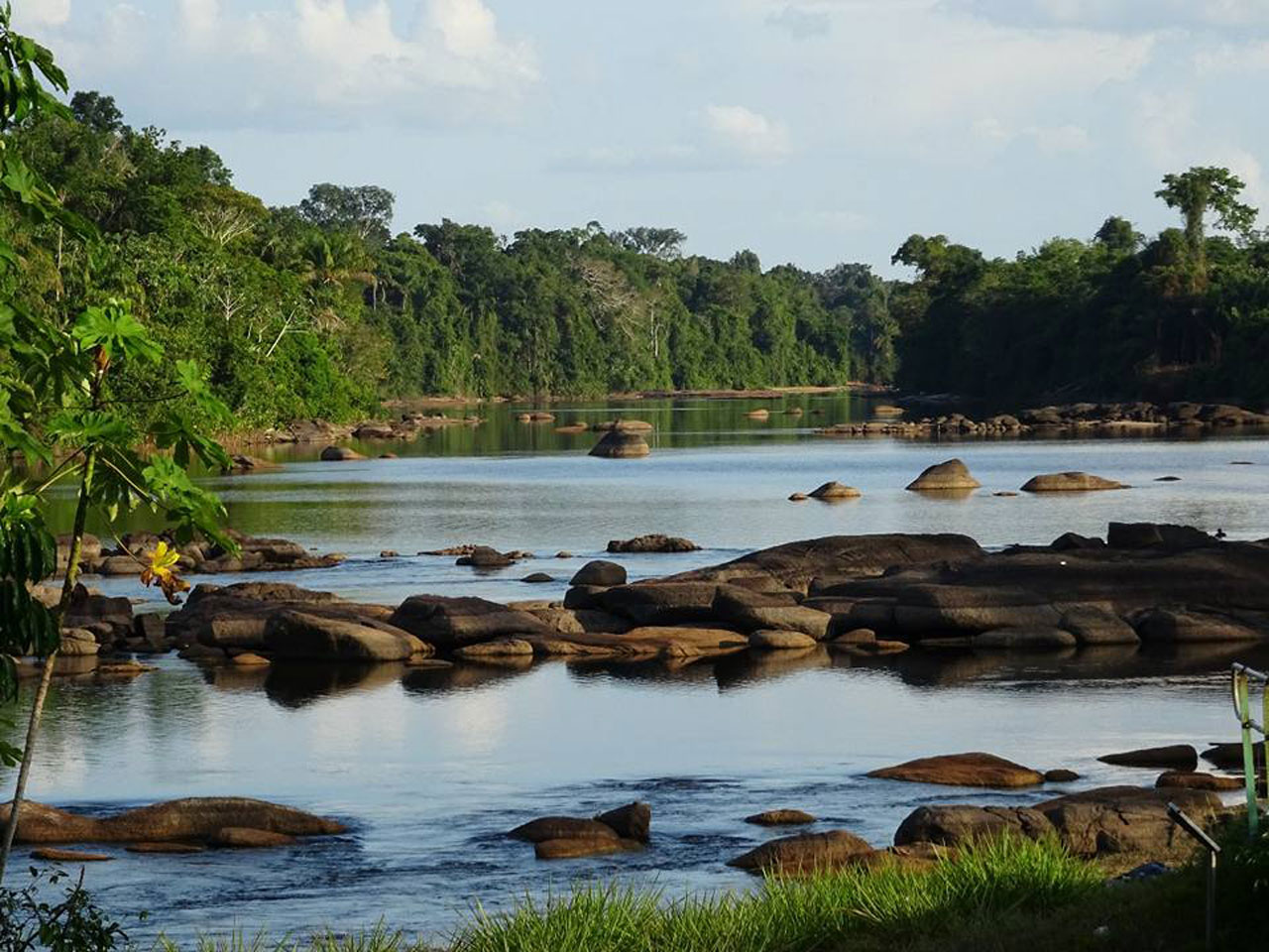 Voor milieubewustzijn en natuurbehoud